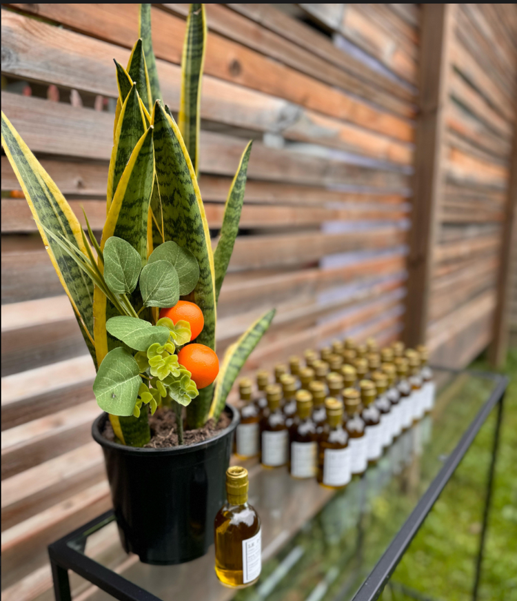 Olive Oil Party Favours 🫒 – Henry Homestead